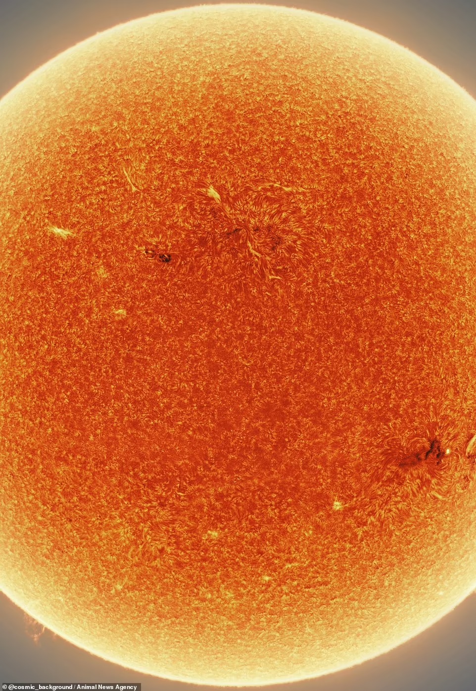 Astrophotographer takes his clearest photo of the SUN showing feather ...